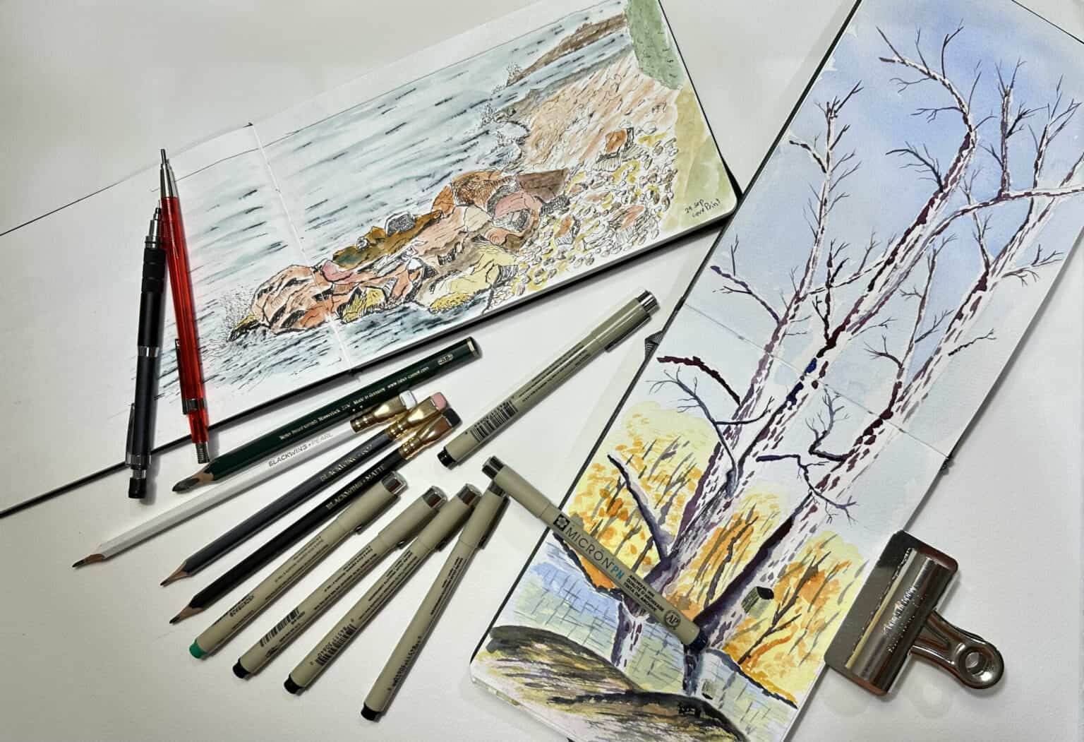 Drawing, Sketching, & Painting Nature Workshop – Potomac Valley Audubon ...