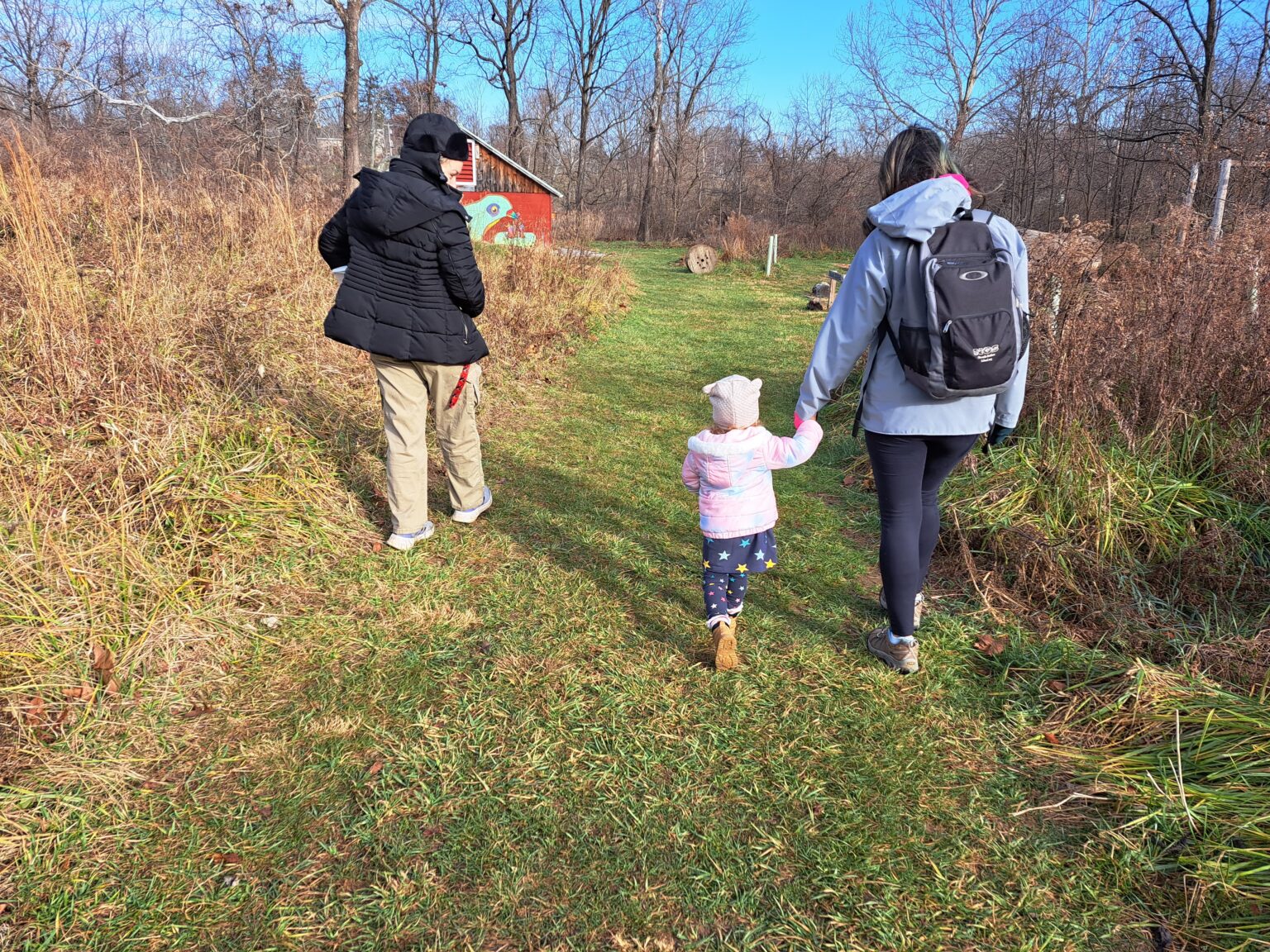 January Wee Naturalists At Cool Spring Preserve | Horns and Antlers ...