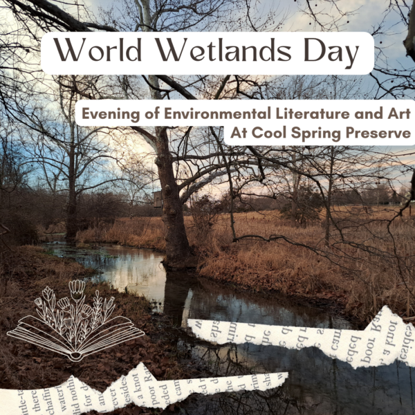 World Wetlands Day: An Evening of Environmental Literature and Art at ...