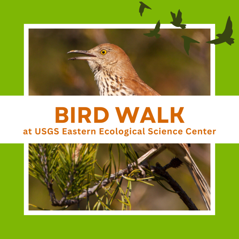 USGS Eastern Ecological Science Center Bird Walk – Potomac Valley ...